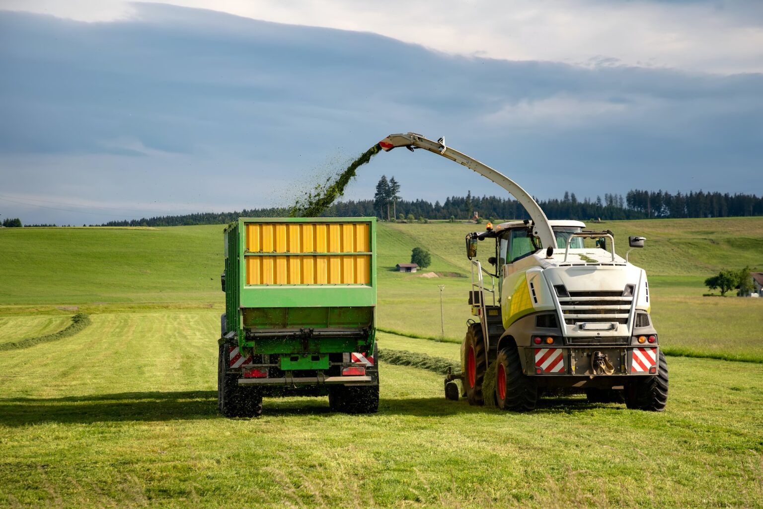 Chi siamo | PBA Nutrizione Animale: produttori mangimi zootecnici